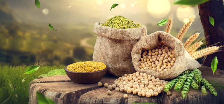 Pulses | Premium Dal & Pulses Online – Green Force Food Products